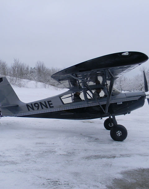 特技飞行飞机 - DENALI SCOUT 8GCBC - American Champion Aircraft - 旅游用 / 单引擎 ...